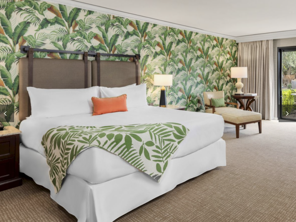 Fantasy Guest Rooms – My Hotel Surplus